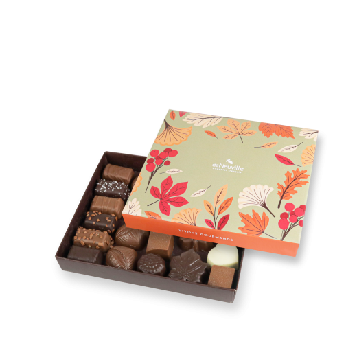 Boutique Nancy De Neuville, chocolats français - De Neuville - chocolat ...