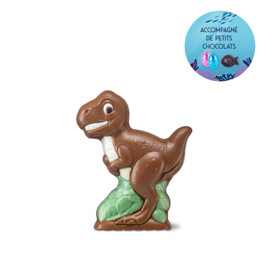 Livraison de chocolat partout en France - De Neuville - chocolat français